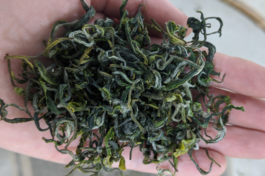 How to make green tea – from cultivation to processing – Renegade Tea ...